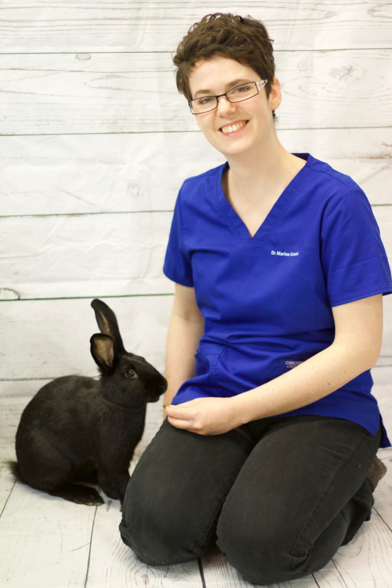 Team - Tierarztpraxis am Bahnhof